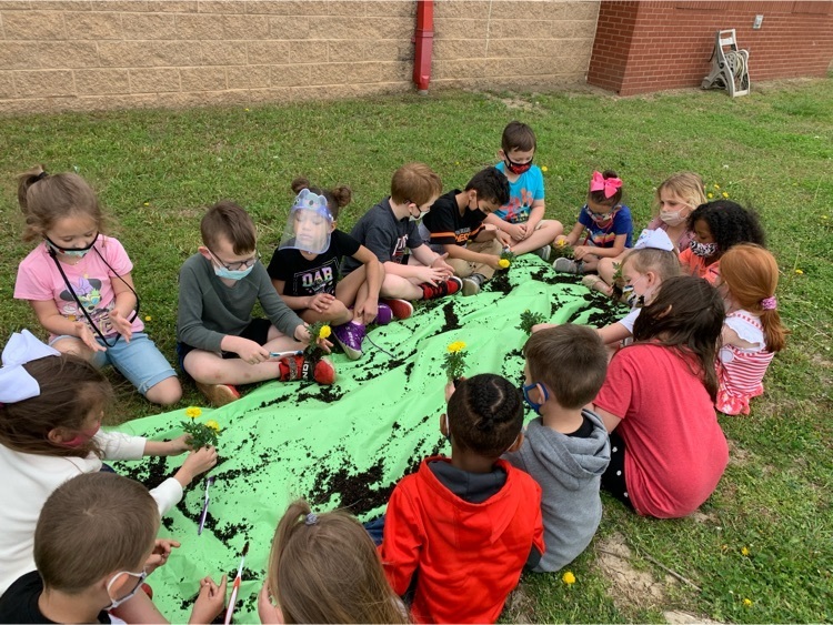 Live Feed | Catalayah Elementary