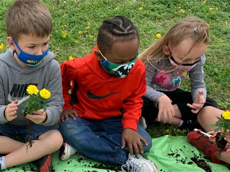 Live Feed | Catalayah Elementary